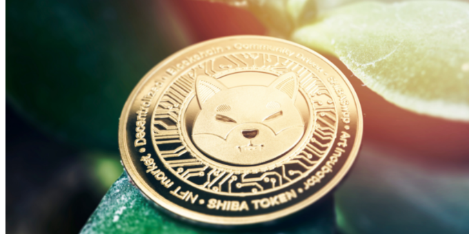 Shiba Inu (SHIB) Meme Token Yatırımcıları Bu Seviyeye Hazırlanmalı!